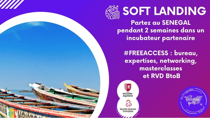 Expérimentez le marché Sénégalais pendant 10 jours avec le programme de Softlanding Exchange ...